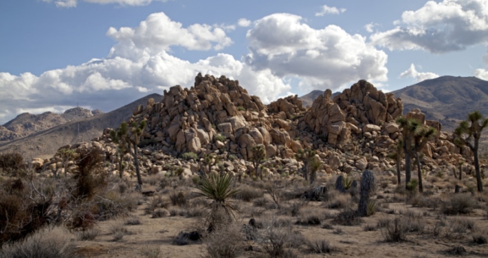 Deserts Project Guidance - Tandem Global