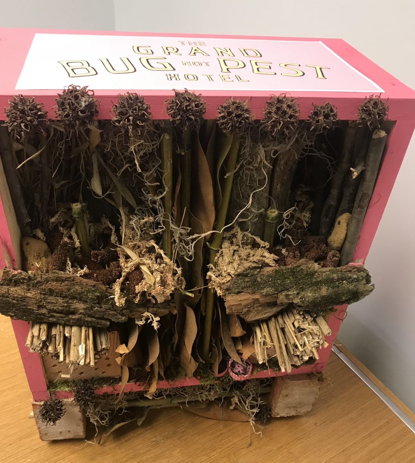 What We Learned by Building Insect Hotels - Tandem Global