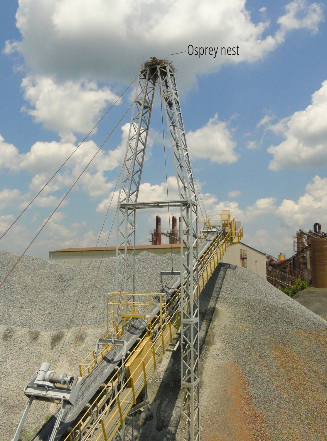 Vulcan Materials | Birds Flourish at a North Carolina Quarry - Tandem ...