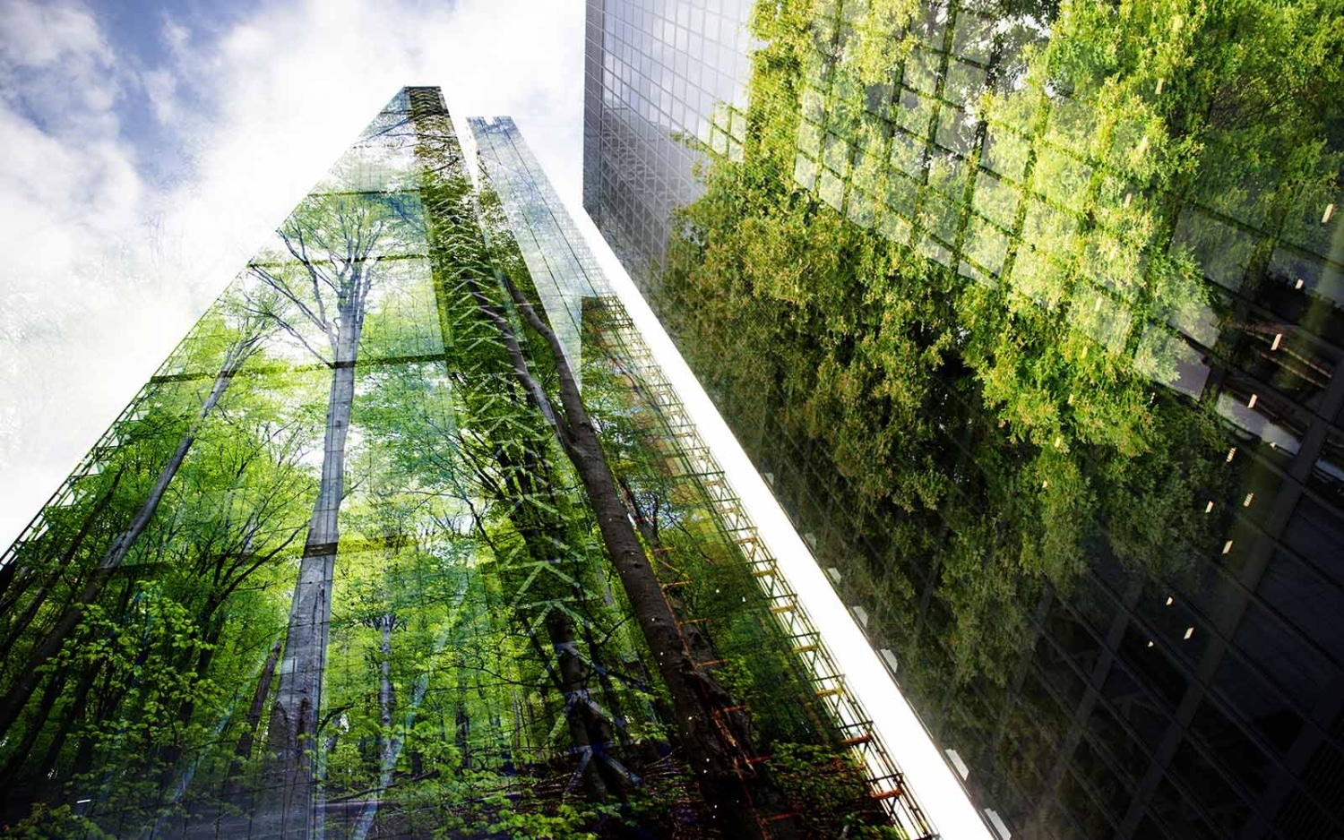 Issue-Based Initiatives - Tandem Global