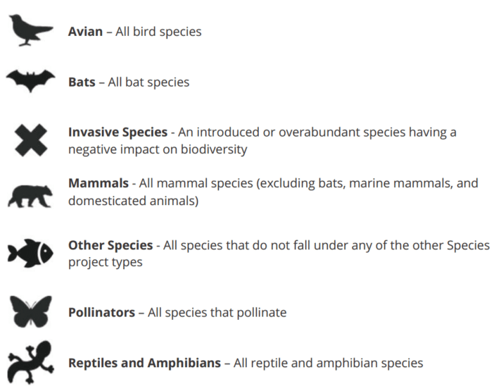 Project Types - Tandem Global
