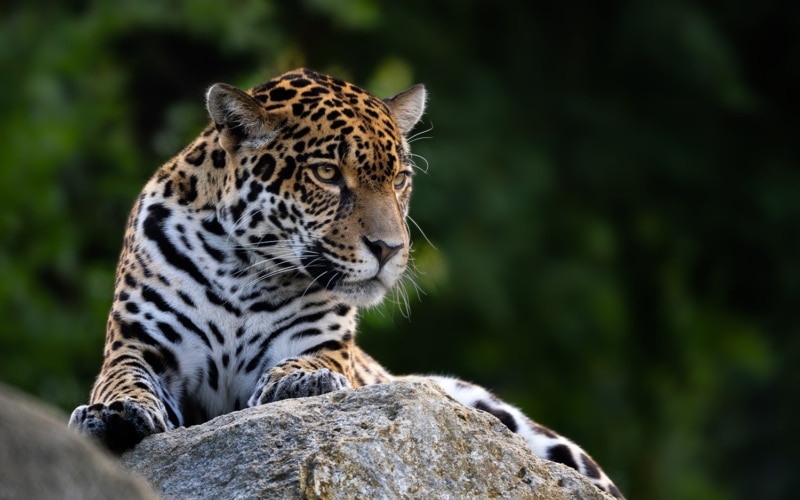 Beyond Target 15 | White Paper Sponsored by Cemex - Tandem Global