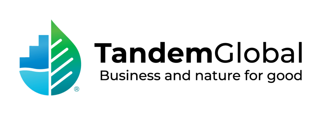 Introducing Tandem Global - Tandem Global