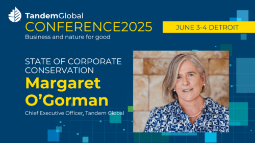 Tandem Global Conference 2025 - Tandem Global